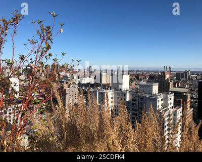 Cityscape View of Tribeca Neighborhood, Lower Manhattan, NYC with ...