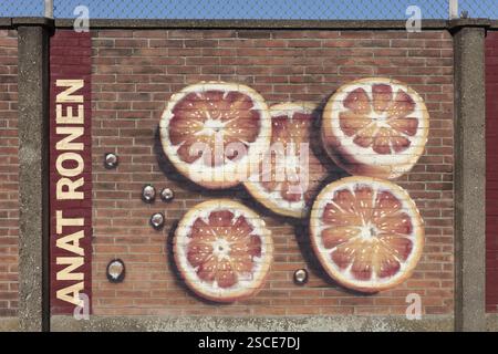 Orange slices, mural on a brick wall by street artist Anat Ronen, Urban ...