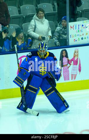 Toronto Sceptres goalie Raygan Kirk looks on during PWHL hockey ...