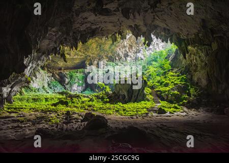 Mysterious Cave Interior with Lush Greenery and Rock Formations Stock ...