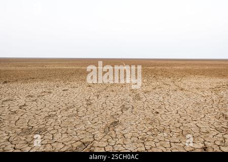 dry cracked farm fields with bright sky at morning Stock Photo - Alamy