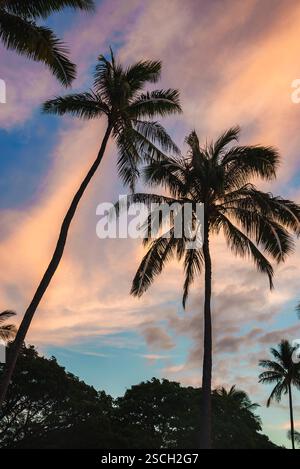 Vibrant tropical ocean panorama with palm coastline and island harbor ...