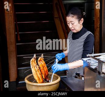 Japanese style cuisine - grilled eel with steamed rice and sauce Stock ...