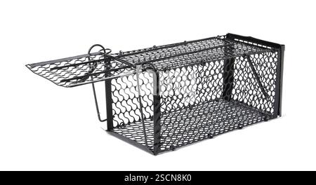 One metal mouse trap isolated on white Stock Photo - Alamy