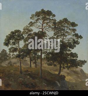 Study of Trees 1843 by Joachim Frich Stock Photo - Alamy
