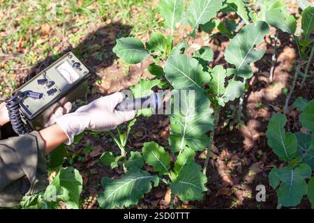 Scientist using portable Geiger counter to measure radiation levels in ...