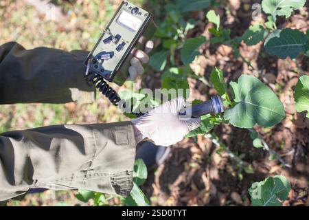 Scientist using portable Geiger counter to measure radiation levels in ...