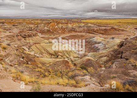 Vivid Striations of Blue Mesa Badlands Stock Photo - Alamy