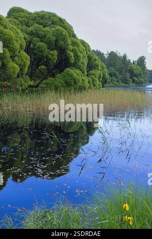 A scenic view of a lake surrounded by greenery and mountains on a sunny ...
