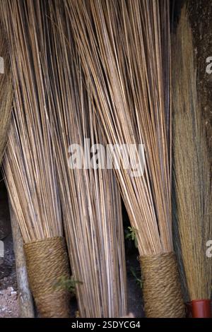 Broom , Old Goa , Velha Goa , India Stock Photo - Alamy