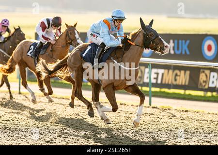 Images from Lingfield Racecourse, Surrey, UK Stock Photo - Alamy