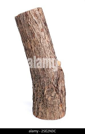 Single willow log isolated over white background Stock Photo - Alamy