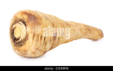 One fresh parsnip isolated on white. Root vegetable Stock Photo - Alamy