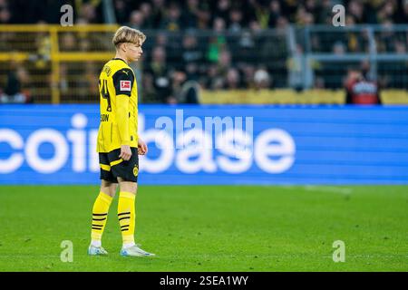 Daniel Jonathan Svensson (Borussia Dortmund, #24), Felix Nmecha ...