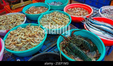 Sale of seafood in the markets of different cities of Goa and other ...