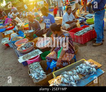 India, Goa, 17 March 2017. Fish and other seafood in the markets of Goa ...