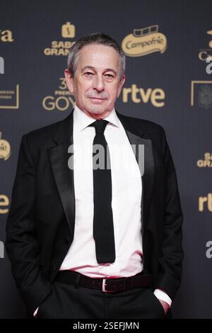 8/02/2025-Granada-Spain alfredo castro attends 39th Goya Awards - Red Carpet at Palacio de ...