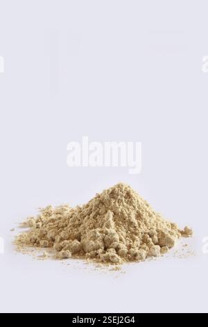 Indian spice, Ginger Adrak and dried powder Zingiber officinale on ...