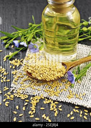 Flowering flax stalks, linseed seeds and linseed capsules isolated on ...