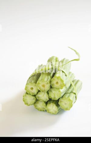 Green vegetable, tied drumsticks long pods of sahijan kind of evergreen ...