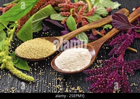 Flour and seeds amaranth in two spoons on board Stock Photo - Alamy