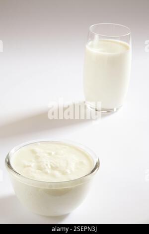 Milk and curd yogurt yoghurt dahi Stock Photo - Alamy