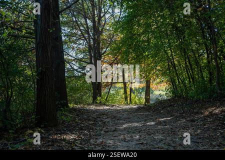 White Bear Township; Minnesota. Tamarack nature center. A path through ...