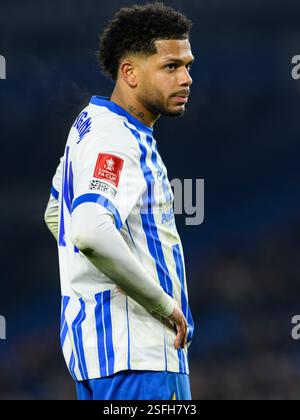 Brighton and Hove Albion's Georginio Rutter celebrates their side's ...