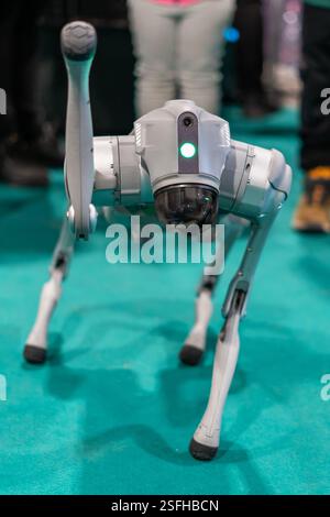 Gray quadruped robotic dog with visible jointed legs, standing on a ...