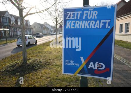 Afd GER, Brandenburg, 20250115, AfD Wahlplakat *** Afd GER, Brandenburg ...