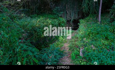 A natural view of water fountain surrounded by trees and beautiful ...