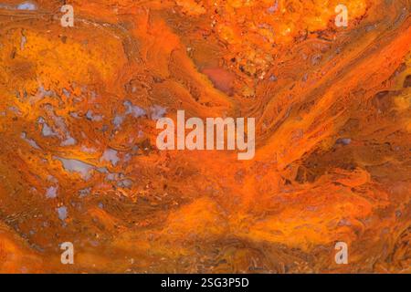 Maury Mountain agate from Oregon Stock Photo - Alamy