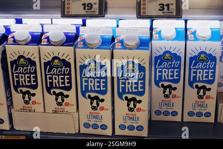 Copenhagen/ DenmarK/10 february 2025/various milks lacto free swweet ...