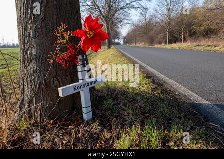 Weißes Holzkreuz mit dem Namen Konstantin und ein roter Weihnachtsstern ...
