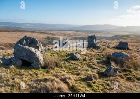 Carboniferous Limestone boulders on Cefn Carn Fadog, Mynydd Du, Bannau ...