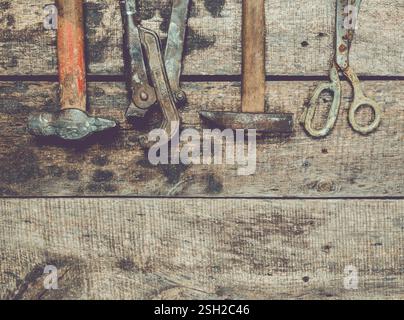 Artisan workshop displaying hand tools, saws, and clamps for carpentry ...