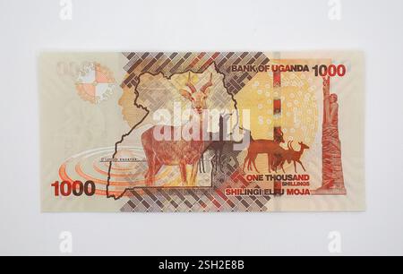1000 Shillings banknote, Ugandan shilling, UGX, Uganda, East Africa ...