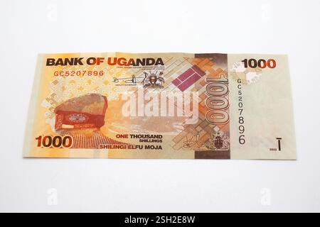 1000 Shillings banknote, Ugandan shilling, UGX, Uganda, East Africa ...