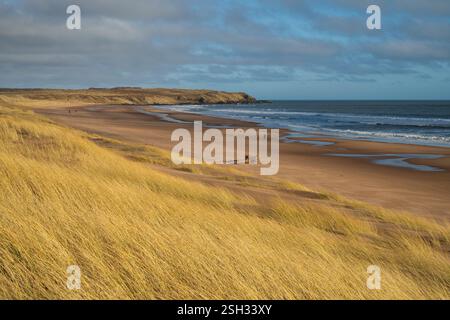 Forvie National Nature Reserve, Aberdeenshire, Scotland Stock Photo - Alamy