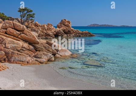 Europe, Italy, Sardinia, Porto Torres, Fishermen boats in the harbor at ...