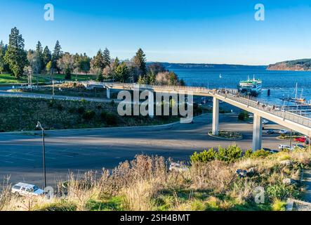 A view of the Wilson Way Pedestrian Bridge at Point Defiance Park in ...