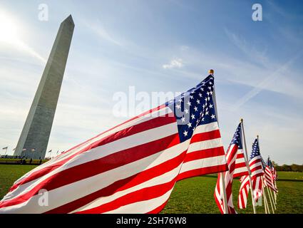 A view of multiple United States flags flying in the nations capital on ...