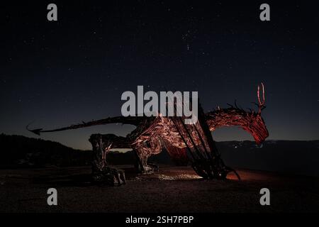 Vaia Dragon wooden sculpture on Lavarone captured at night Stock Photo ...