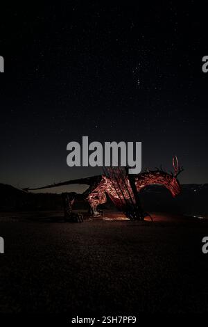 Vaia Dragon wooden sculpture on Lavarone captured at night Stock Photo ...
