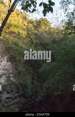 The Bat Volcano of Calakmul, Mexico Stock Photo - Alamy