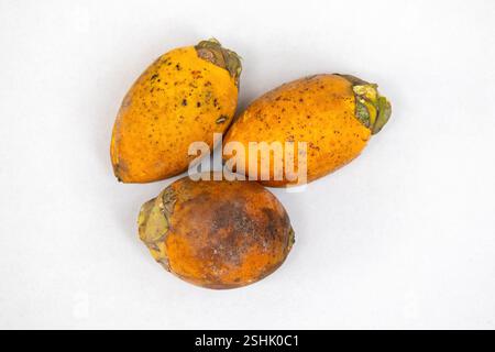 Ripe Betel nut or areca nut isolated on wooden background Stock Photo ...