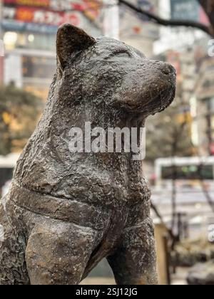 Statue of Hachiko, a Japanese Akita dog remembered for his remarkable ...