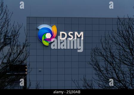 DSM logo, DSM is a Dutch multinational corporation active in the fields ...