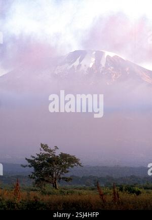 Mt Kilimanjaro snow capped summit, aerial view , Tanzania Africa Stock ...