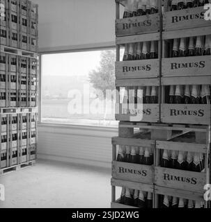 Neue Rimuss-Kellerei der Firma Rahm im Klettgau, 1964#New wine cellars ...